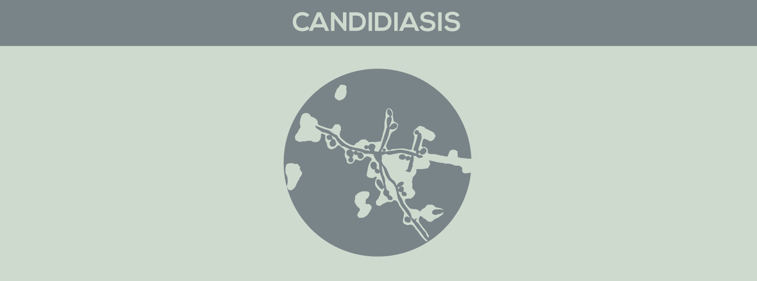 Candidiasis in Pet Ducks